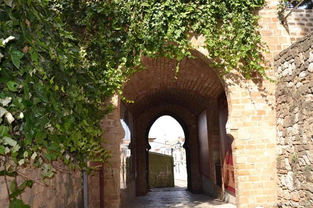 The old town and the center of Dénia