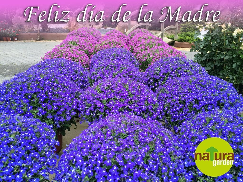 Dia De La Madre En Natura Garden Dénia