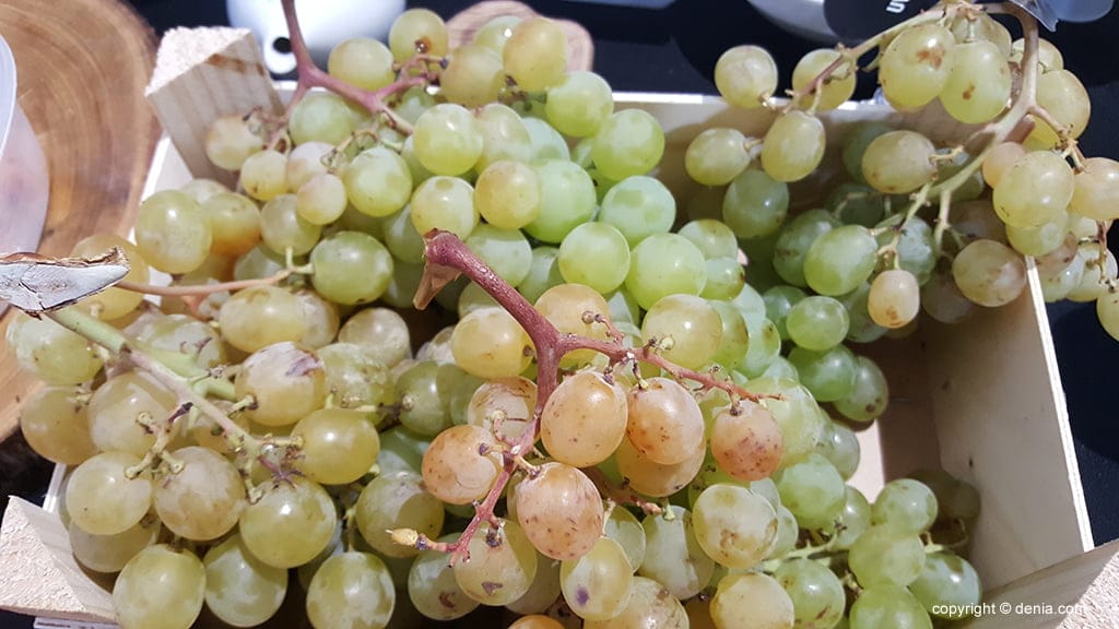 La uva moscatell fue la 'reina' del Mercado Municipal de Dénia