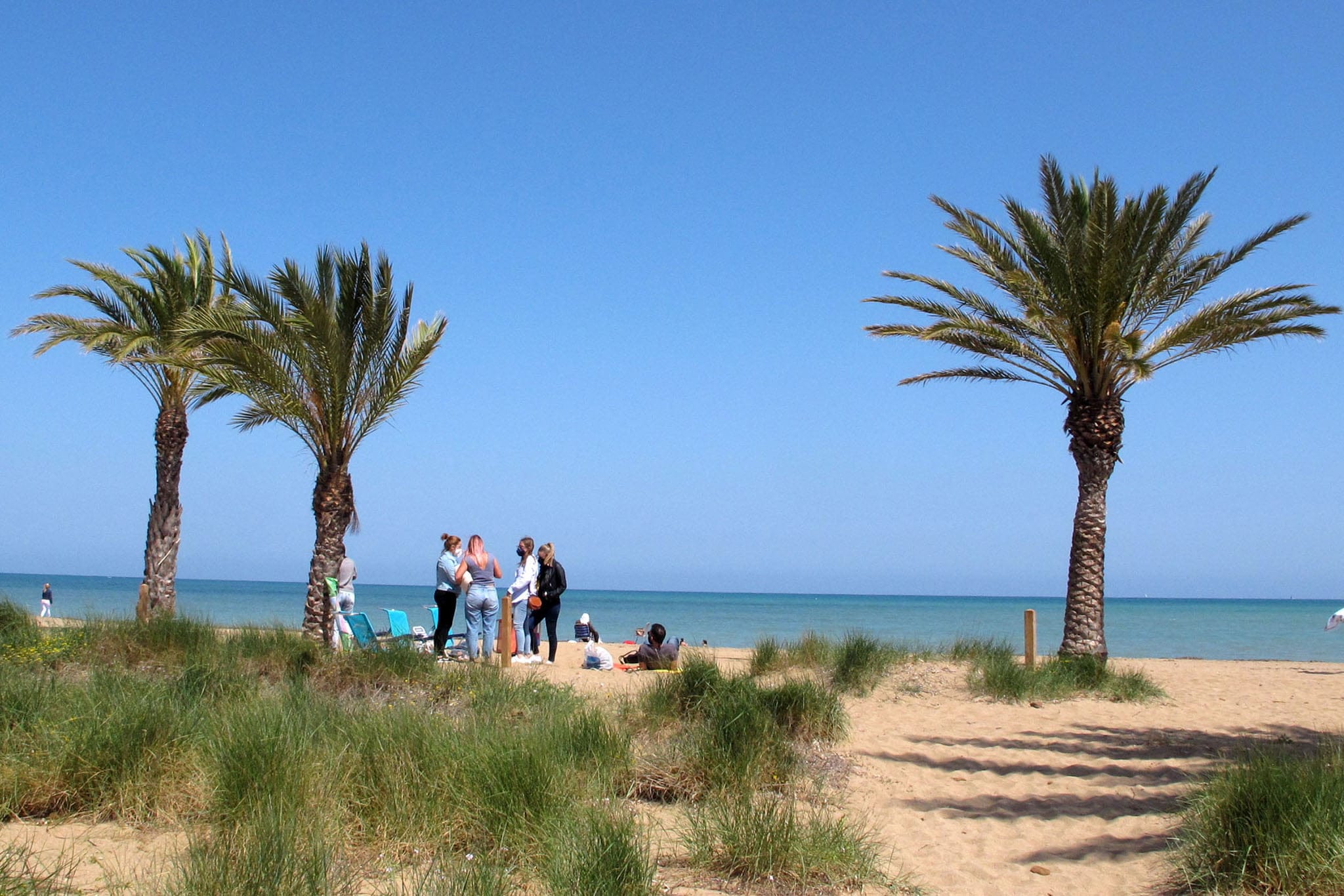 Palmeras y cordón dunar de la playa Albaranes - Dénia.com